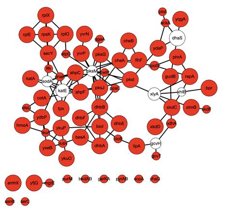 Finding Manganese Homeostasis Proteins The Pathway Not Taken