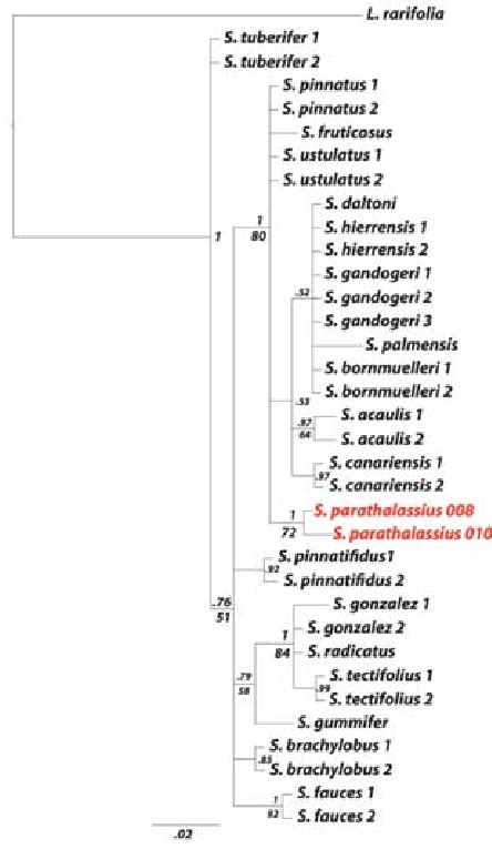tree derived from bayesian analysis of its1 sequences average