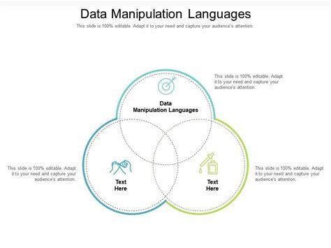 data manipulation languages ppt powerpoint presentation outline