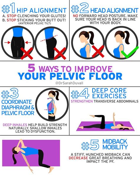 Best Pelvic Floor Exercises For Women How To Strengthen Your Pelvic