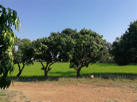 ซื้อขายที่ดินสุพรรณบุรี สิงห์บุรี ลพบุรี อ่างทอง อยุธยา ชัยนาท นครสวรรค์