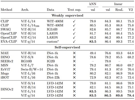 Dinov2 Learning Robust Visual Features Without Supervision 烈烈风中、的博客