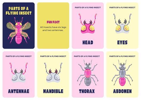 Free Science Flashcard Templates To Edit And Print Canva