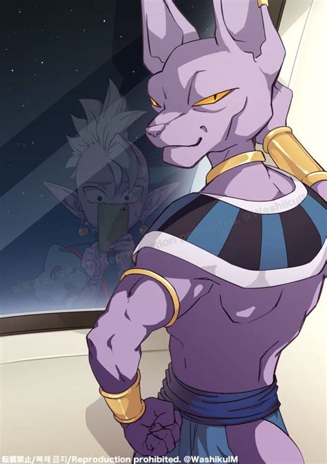 Lord Beerus