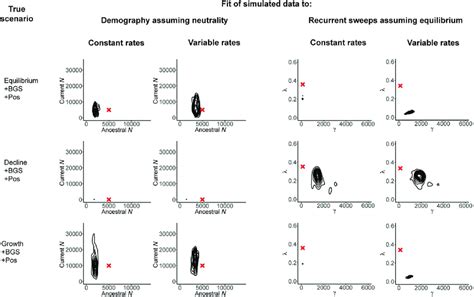 The Effects Of Not Correcting For Mutation And Recombination Rate Download Scientific Diagram