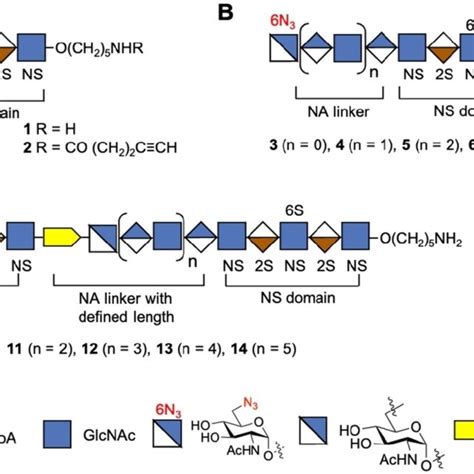 Synthetic Strategy For The Preparation Of Hs Mimetics Having