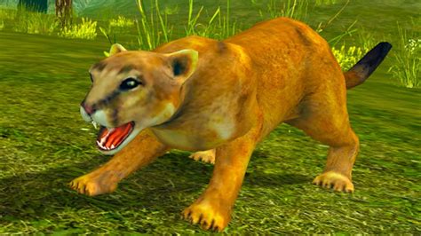 СИМУЛЯТОР ДИКОЙ КОШКИ 4 Семья пумы с Кидом на ПУРУМЧАТА Youtube