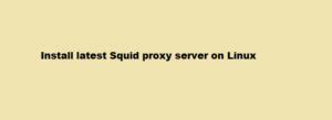 How To Install The Latest Squid Proxy Server On Linux LinuxWays