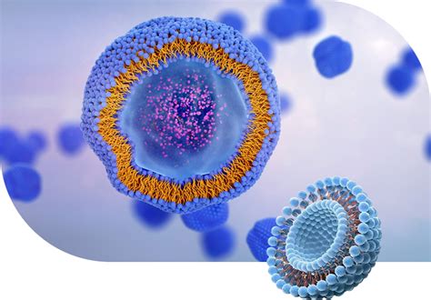 Liposomes Shaanxi Guanjie Technology Co Ltd