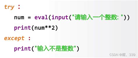 Python编程：分支结构与循环详解 Csdn博客