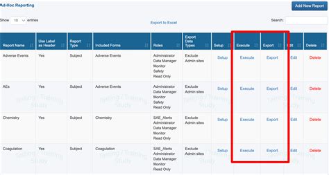 Report Builder Ad Hoc Reports