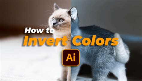 How To Invert Colors In Illustrator Invert Colors Illustration Raster Image
