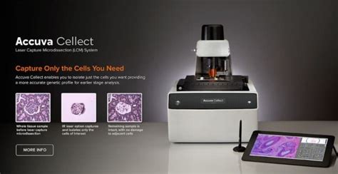 Microdissection To Microarrays A Complete Solution For Gene Expression Profiling Of Precious