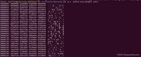 yolovx系列模型权重文件格式 yolo权重文件有多少数据 csdn博客