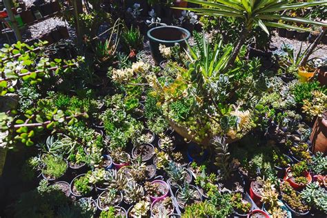 On The Grid Cdls Paramount Pots