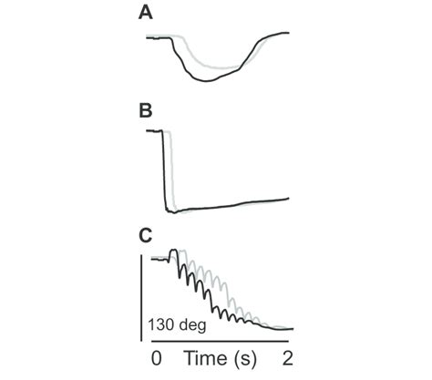 Electrogoniometer Representative Goniometer Data From Hi Scm Black