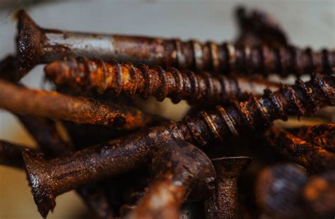 Free Picture Close Up Of Pile Of Rusty Screws
