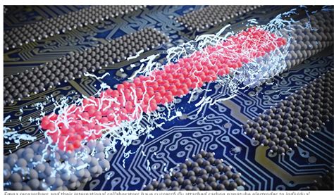 Carbon Based Quantum Technology Carbon Based Quantum Technology