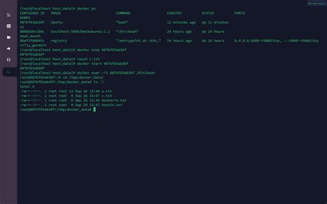 docker实战教程十一容器数据卷 cnhkzyy 博客园