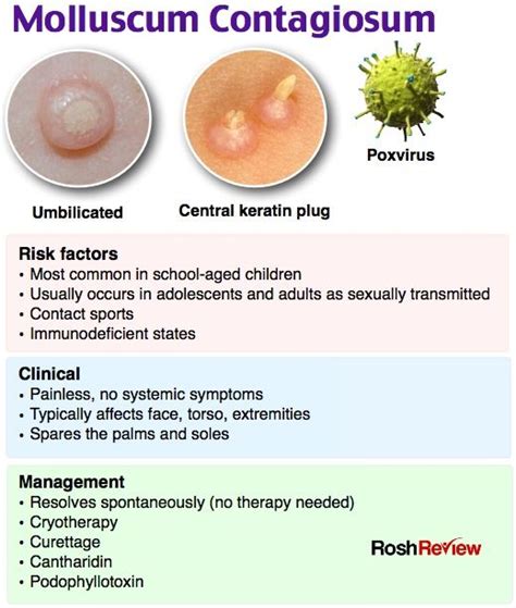 Molluscum Contagiosum Nurse Practitioner Babe Family Medicine Pediatrics
