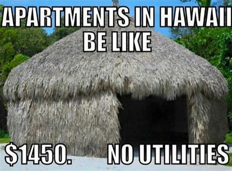Hilarious Hawai‘i Memes That Are Too Real For Locals