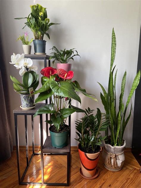 Підставка під квіткові горщики Перейра Підставки квіткові декоративні металеві Стійка для