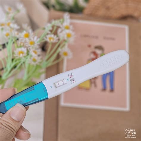 임산부 아내 친구 임신축하선물 추천 10가지 네이버 블로그