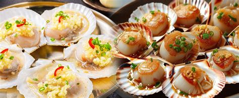 10pcs Scallop Shells 4‘ 4 5 Natural Sea Shells Yellow