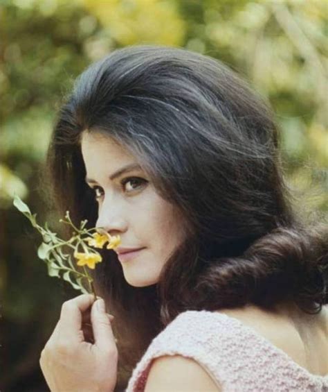 30 Beautiful Photos Of American Actress Diane Baker In The 1960s