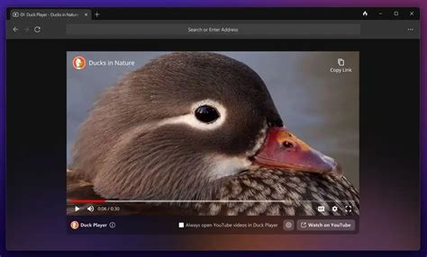 Protect Your Privacy With Public Beta Of Duckduckgo Web Browser For