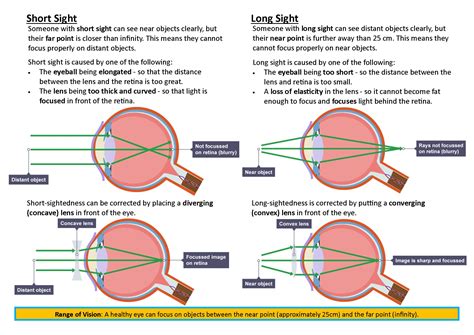 What Is The Difference Between Long And Short Reflex Dwwitp