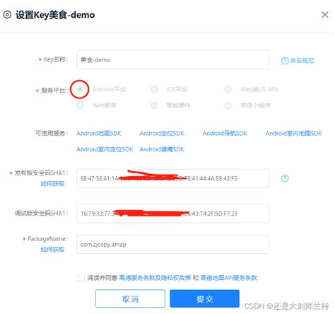 绕开坑坑，申请高德地图安卓appkey的步骤高德地图安卓怎么申请安全密钥 Csdn博客
