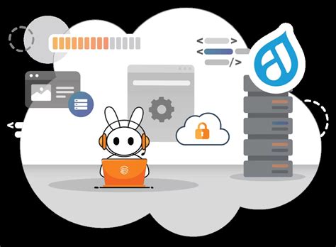 Best Drupal Server Management Service Provider Supportfly