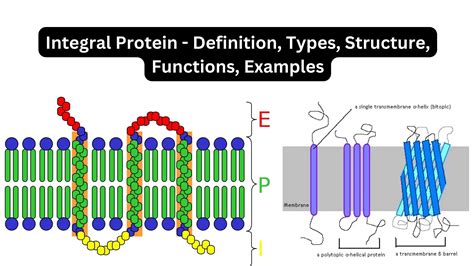 Proteina Integral