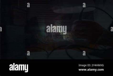 Binary Code And Circuit Animation Over Person Working On Computer