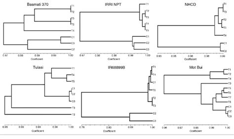 Dendrogram Based On Jaccard Similarity Index Showing The Genetic