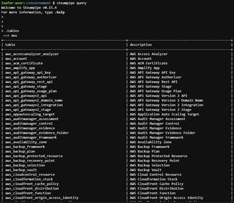AWS Resource Management Steampipe Tool 활용하기