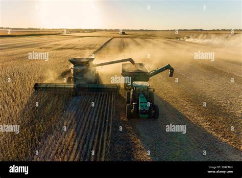 Aerial Of Combine Harvesting Soybeans And Unloading Into Grain Cart At Sunset Marion County