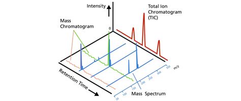 Fundamentals Of Gcms For Modern Labs Shimadzu Asia Pacific