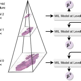 An Illustration Of The Difference Between AB MIL And The HAG MIL Download Scientific Diagram