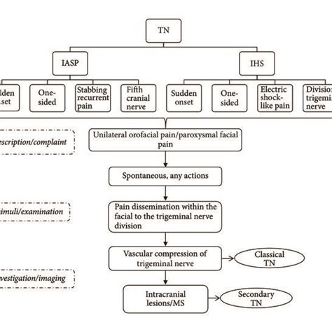 The Basic Diagnostic Criteria Of Trigeminal Neuralgia Tn Download Scientific Diagram