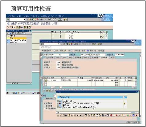 Sap进阶系列5：第一篇：财务总览之基金管理（资金预算） Csdn博客