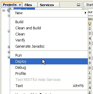 Creating A Simple Java Message Service JMS Producer With NetBeans And GlassFish