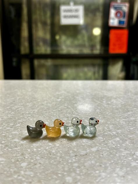 We Have Teeny Tiny Ducks At My Hospital Too Rmildlyinteresting