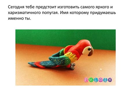 Попугай. Пластилин - презентация онлайн