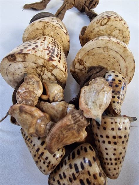 Antique Old Sepik Region New Guinea Conus Shell Money Tribal Necklace