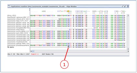 Ezeditor2 Working With 16s Rrna Sequences Ezbiocloud Help Center