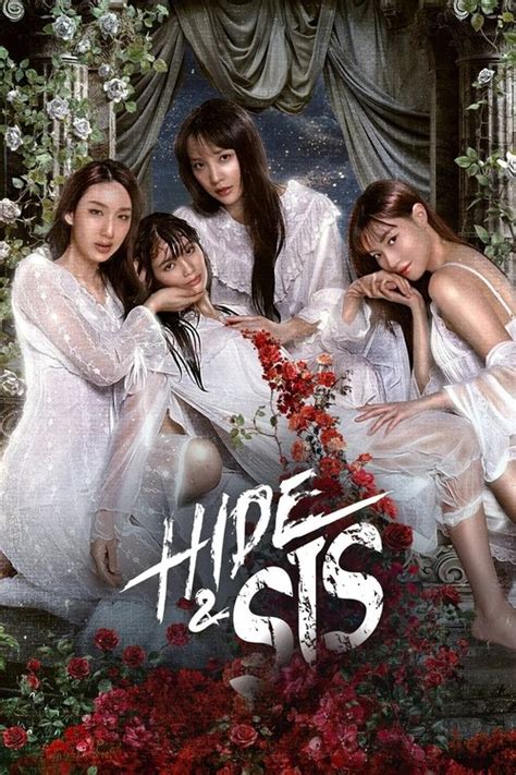 How To Watch Hide And Sis The Best Streaming Options