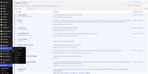 How To Successfully Embed The Elementor Newsletter Popup On Your Website