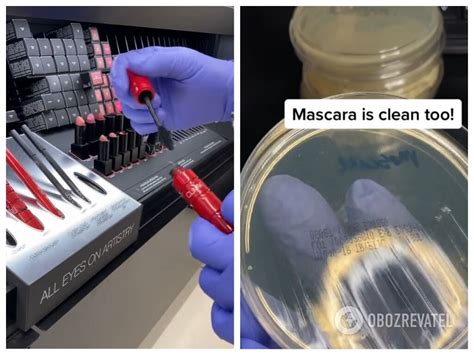 Why You Should Never Use Testers In Beauty Shops The Answer Will Shock